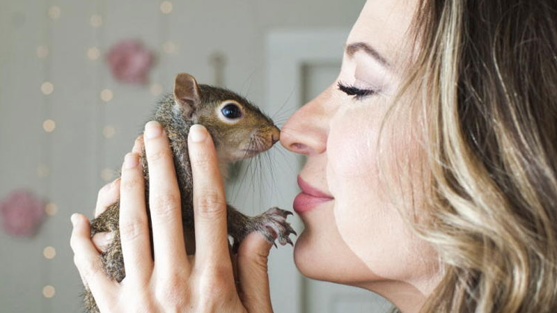 1-eyed squirrel with Instagram account is returned to nature