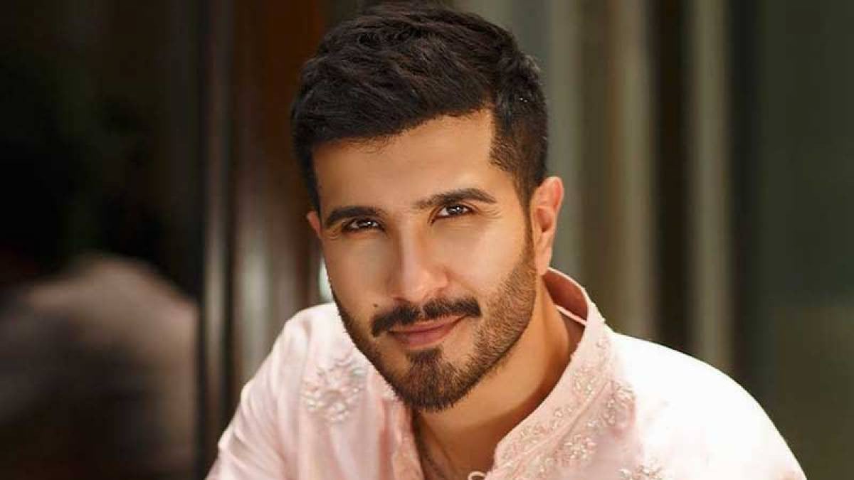 Feroze Khan Sparks Controversy with Deleted Instagram Story Alleging ...